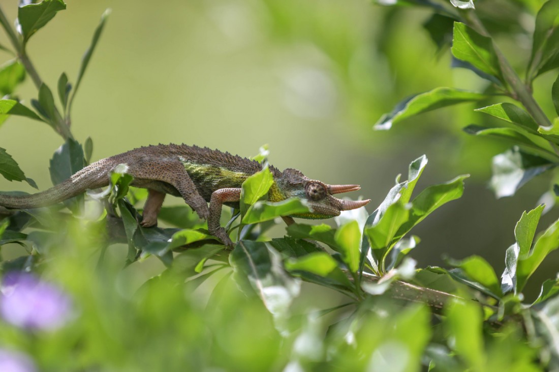 Airline_Rates_Myidtravel_Flight_Deck_Myidtravel